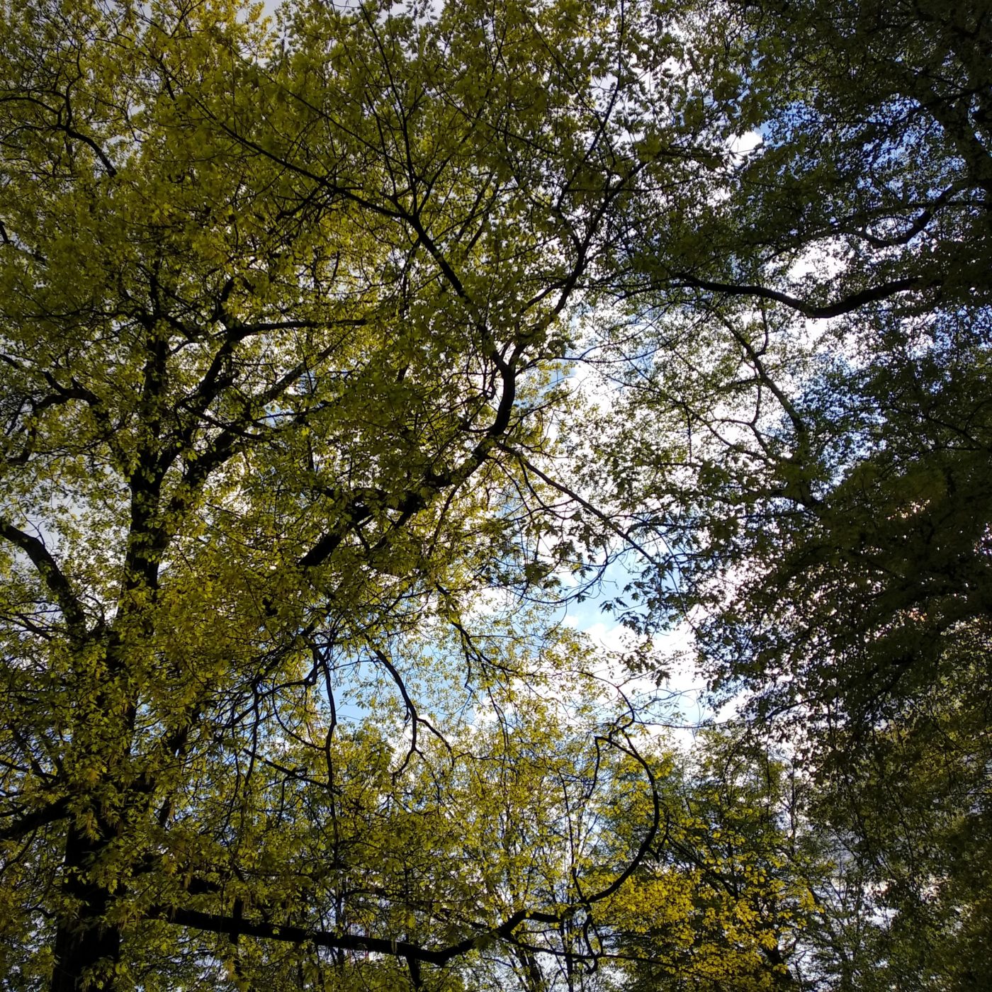 visible.pictures – Photographs by Michael Verdone