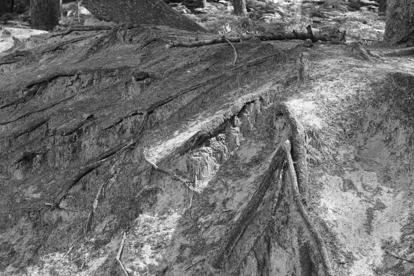 visible.pictures – Photographs by Michael Verdone